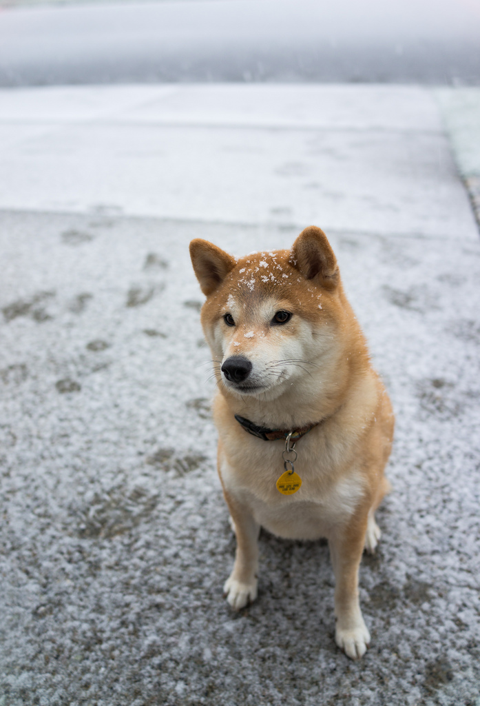 Sony RX1 Sample Photos by Keith Okamoto in Photo Insider Blog at Unique ...