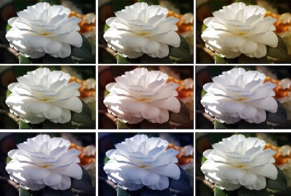 White Balance Photography - Manage the color in your images in Photo ...